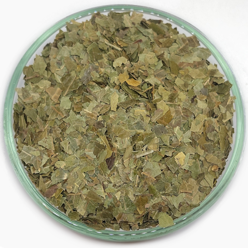Neem list (Azadirachta indica) 100 g – DOBROVIT j.d.o.o.